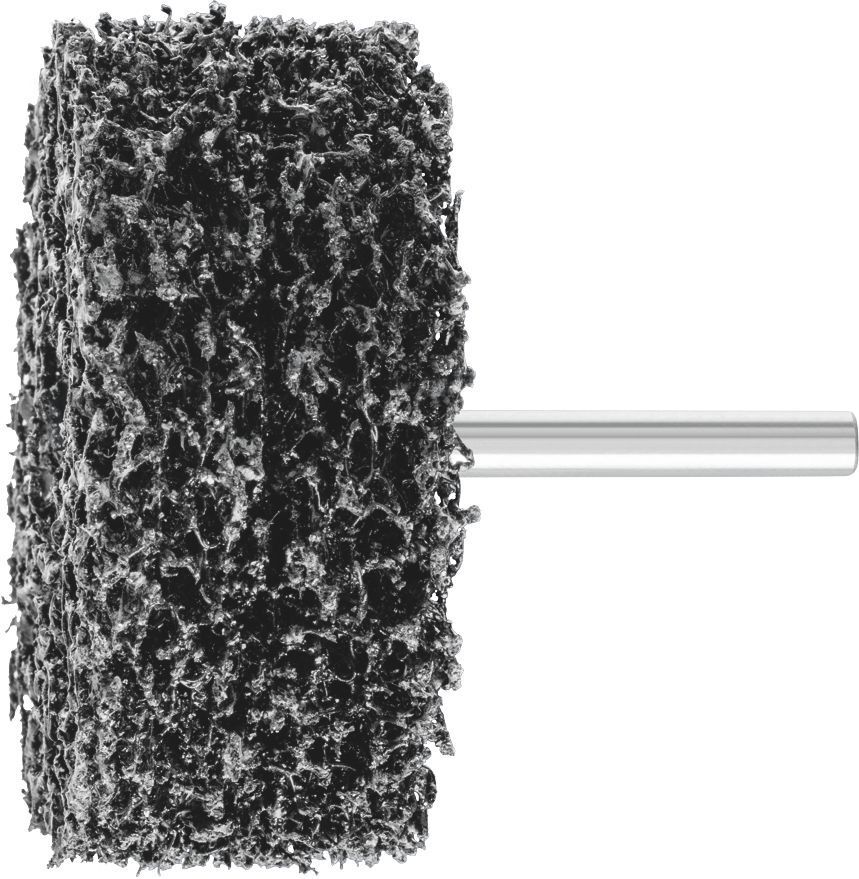 POLICLEAN Clean & Stripping 6mm Shank Mounted - Pferd